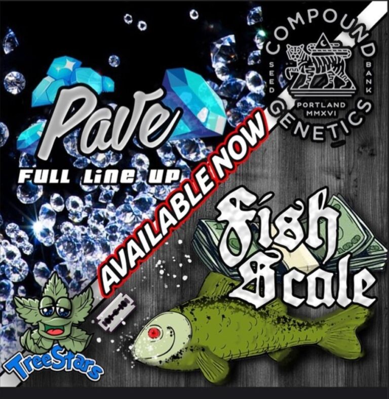 Compound Genetics - Exclusive Cannabis Genetics & Rare Marijuana Seeds ...